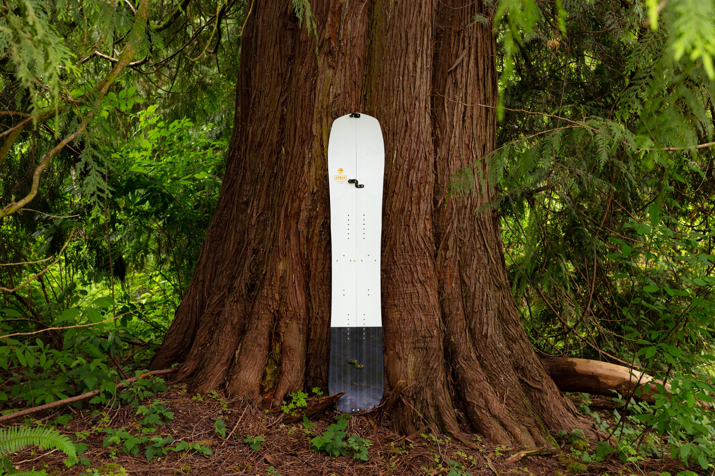 Landmark Splitboard – Arbor Collective