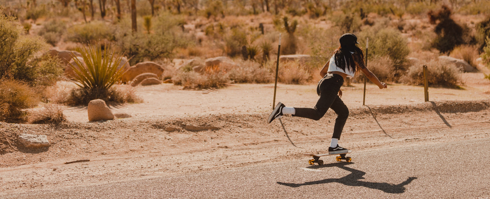 Arbor Skateboards - Cruisers – Arbor Collective