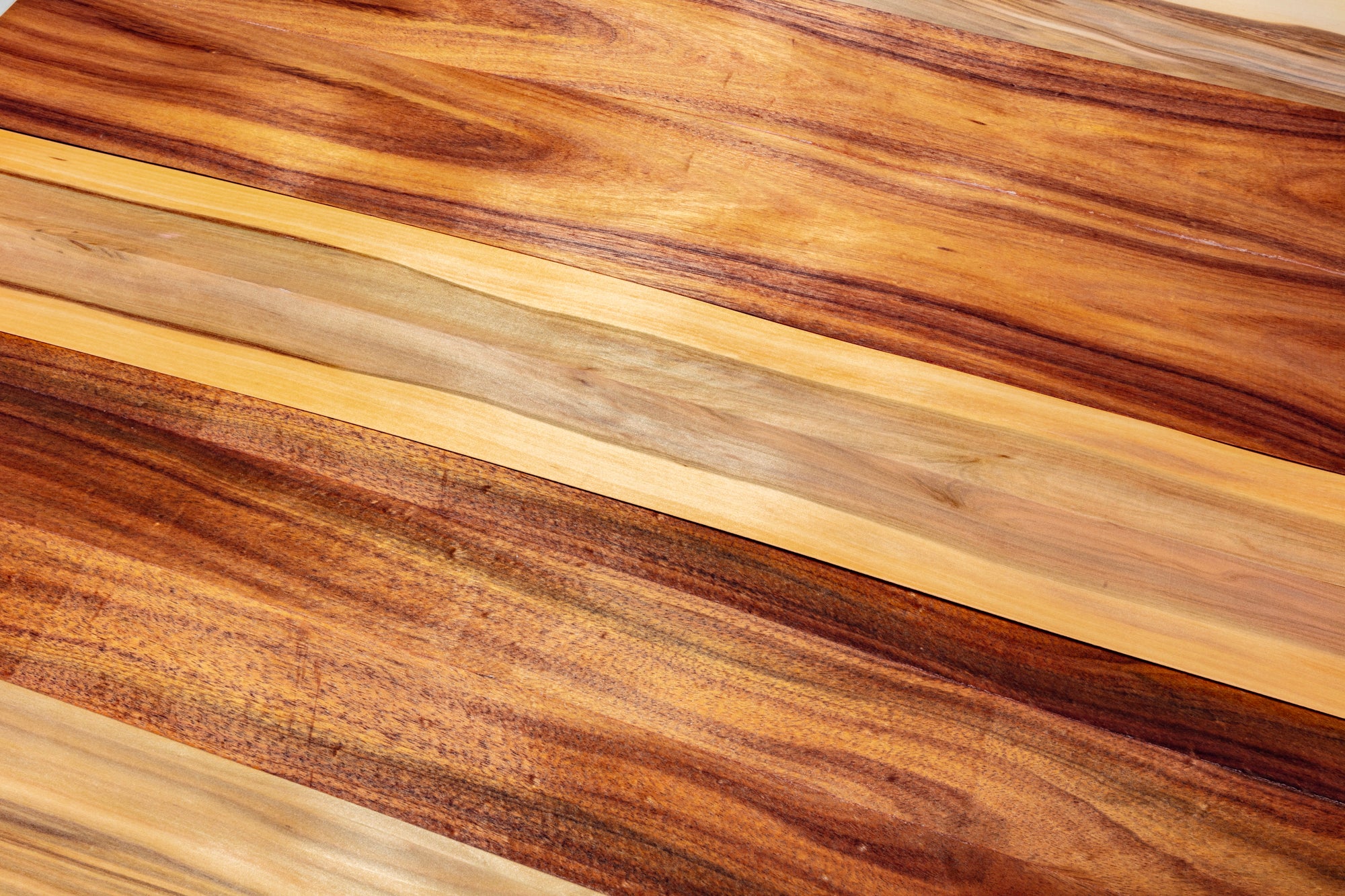 Heritage Collection – Arbor Collective