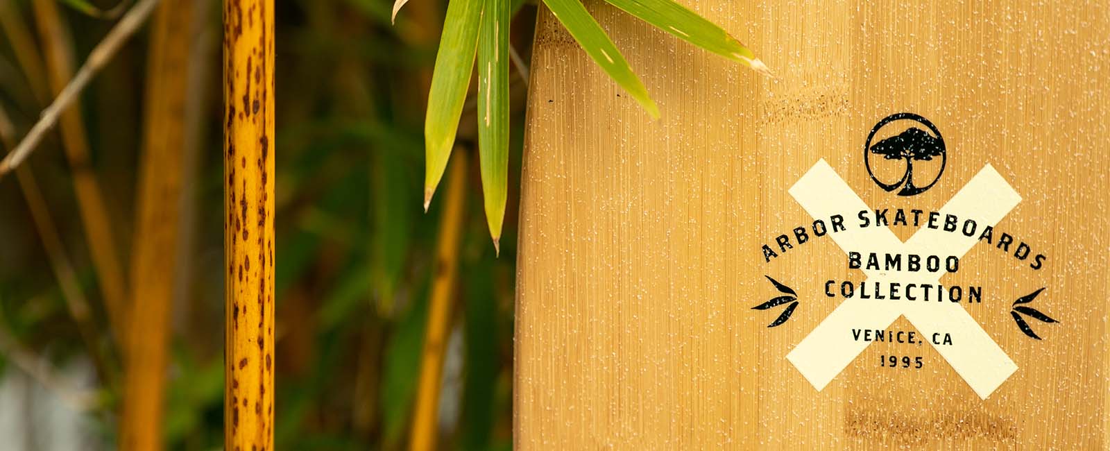 Bamboo Collection – Arbor Collective