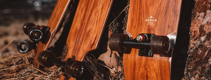 Flagship Series – Arbor Collective