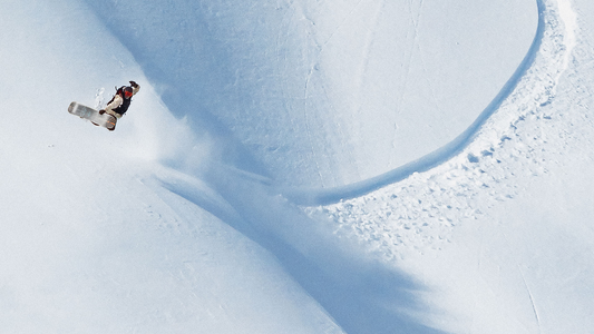 Satori by Bryan Iguchi – Arbor Collective