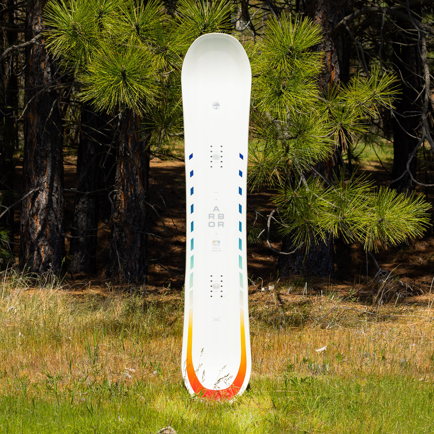 Arbor Snowboarding - Women's Snowboards – Arbor Collective