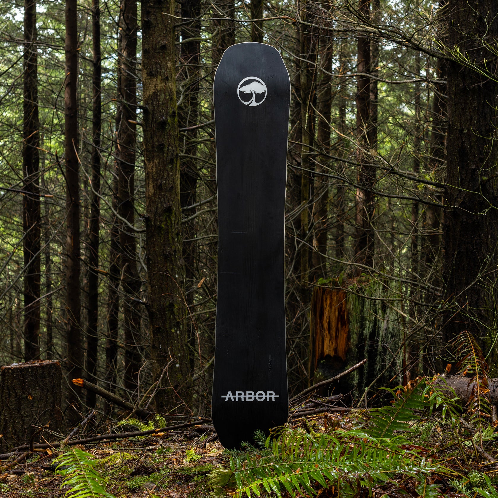 Arbor Snowboarding - Coda Camber – Arbor Collective
