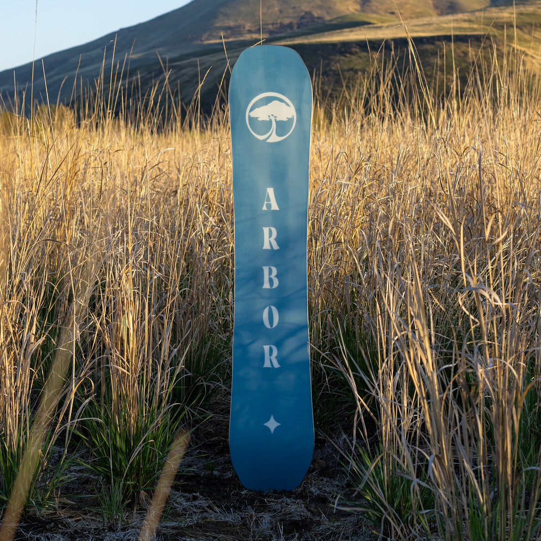 Arbor Snowboarding - Swoon Rocker – Arbor Collective