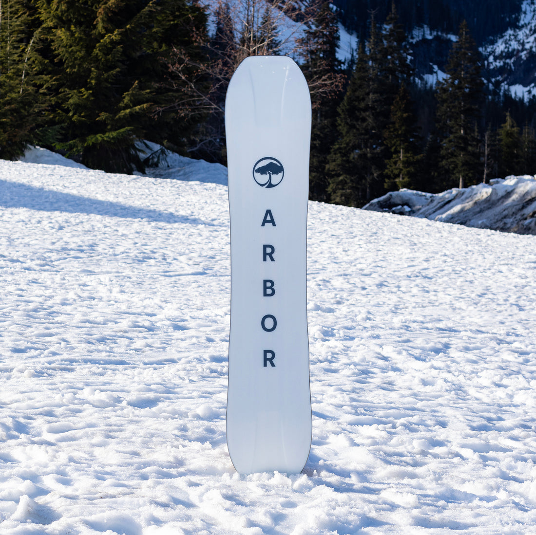 Arbor Snowboarding - Terra Twin Camber – Arbor Collective