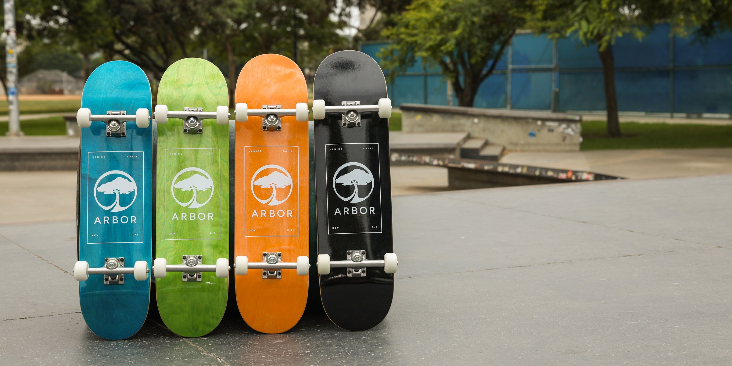 Series / Collections – Arbor Collective