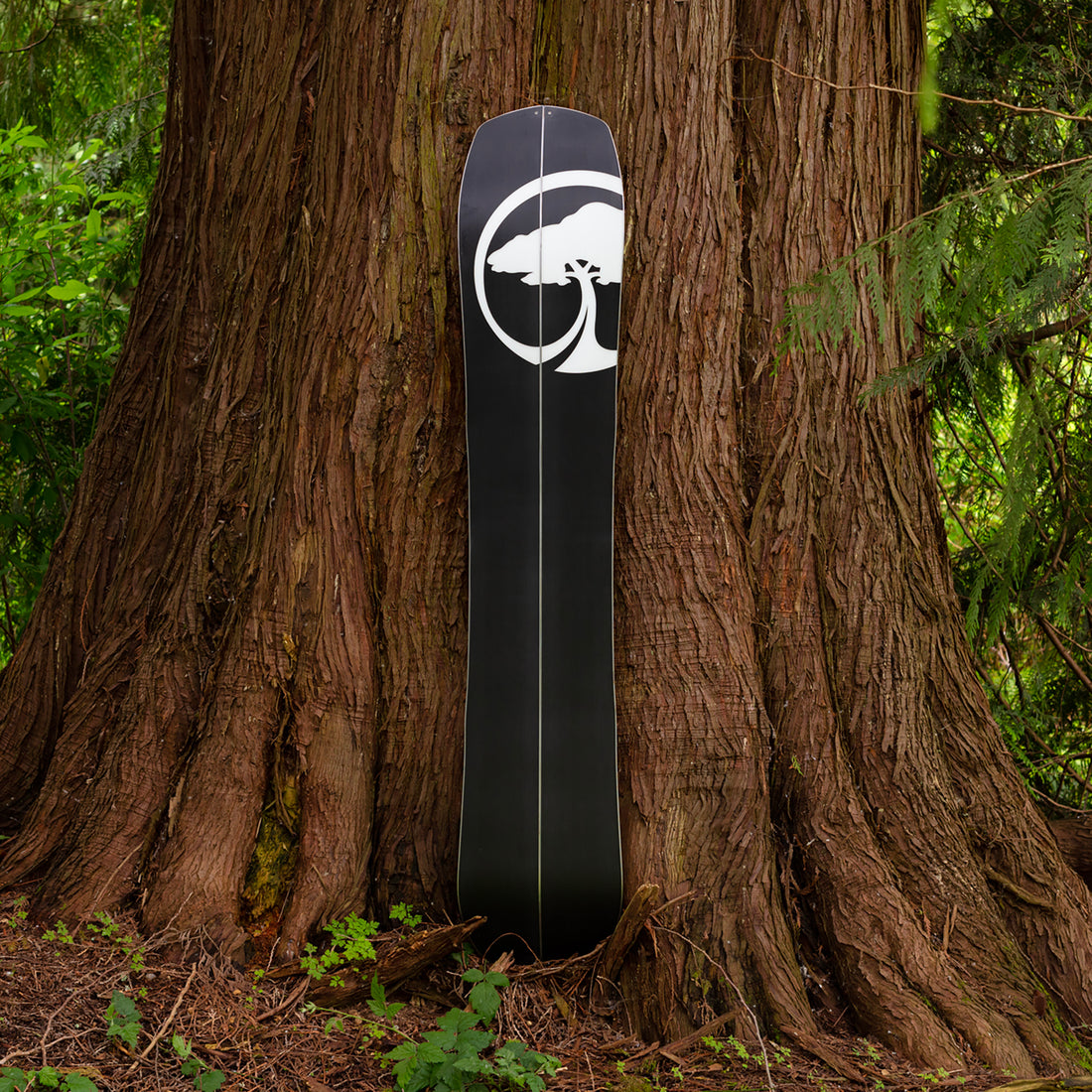 Arbor Snowboards - Landmark Splitboard Rocker – Arbor Collective