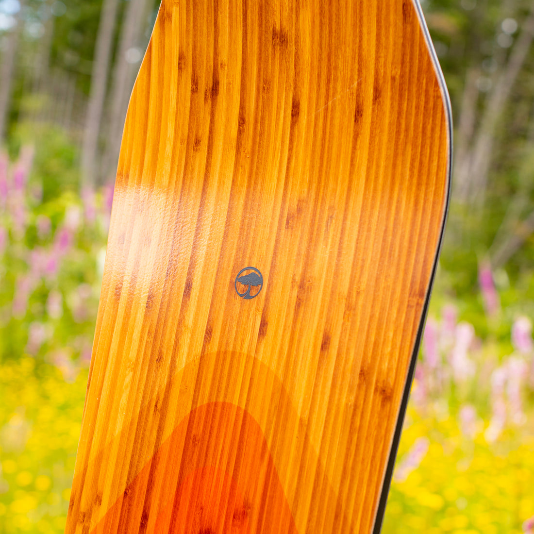 Arbor Snowboards - Shiloh Camber – Arbor Collective