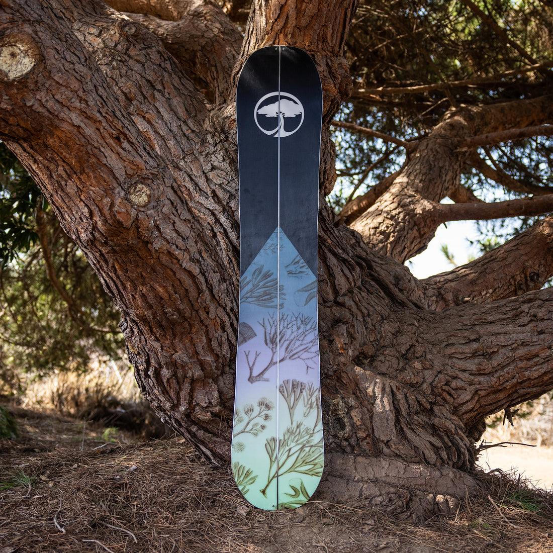 Arbor Snowboards - Veda Splitboard Camber – Arbor Collective