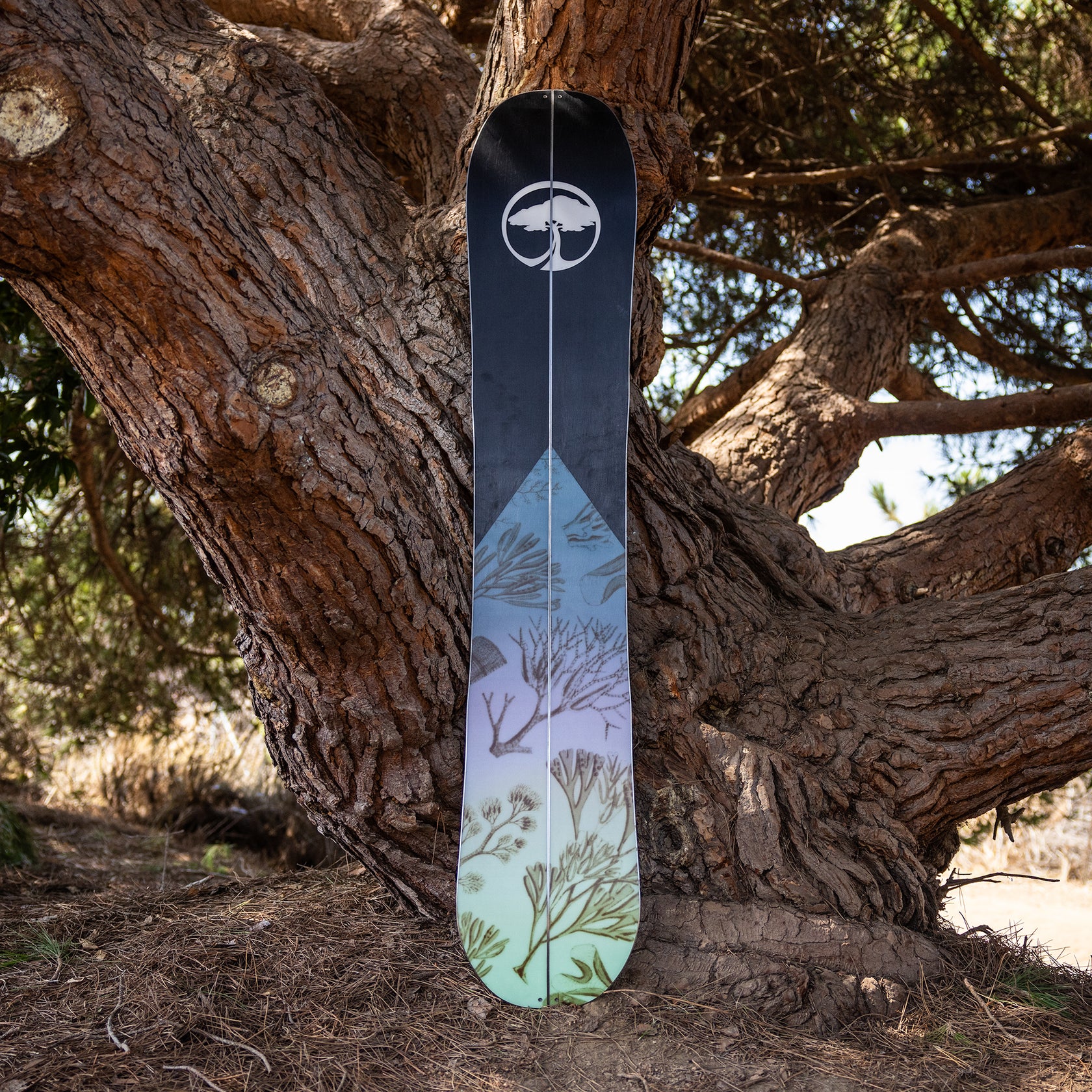 Arbor Snowboards - Veda Splitboard Camber – Arbor Collective