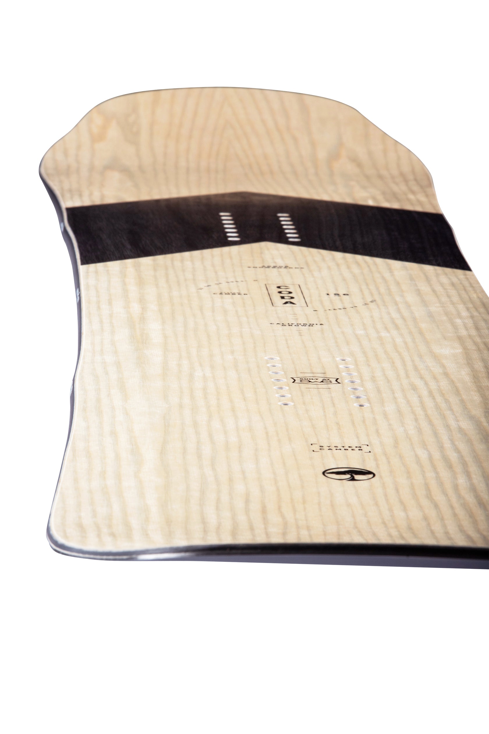 Coda Camber – Arbor Collective